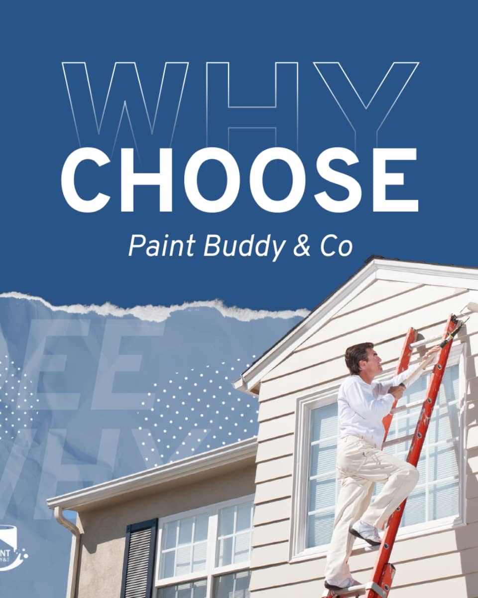 Trusted House Painting in Dee Why | Skilled Painting Services