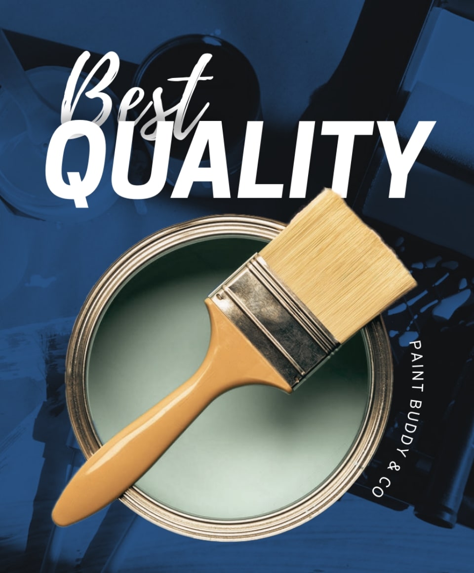 Painting Services Lane Cove | Paint Buddy & Co