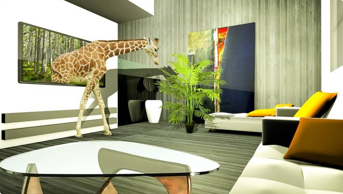 5 House Painting Tips For Beginners - Paintbuddy&CO