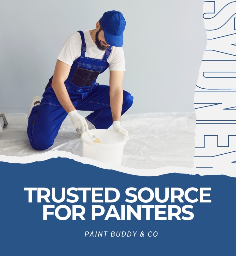 Local Painters in Sydney | Best Interior & Exterior Painting🏠